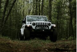 Vehicle Loans | Bay Area Credit Union